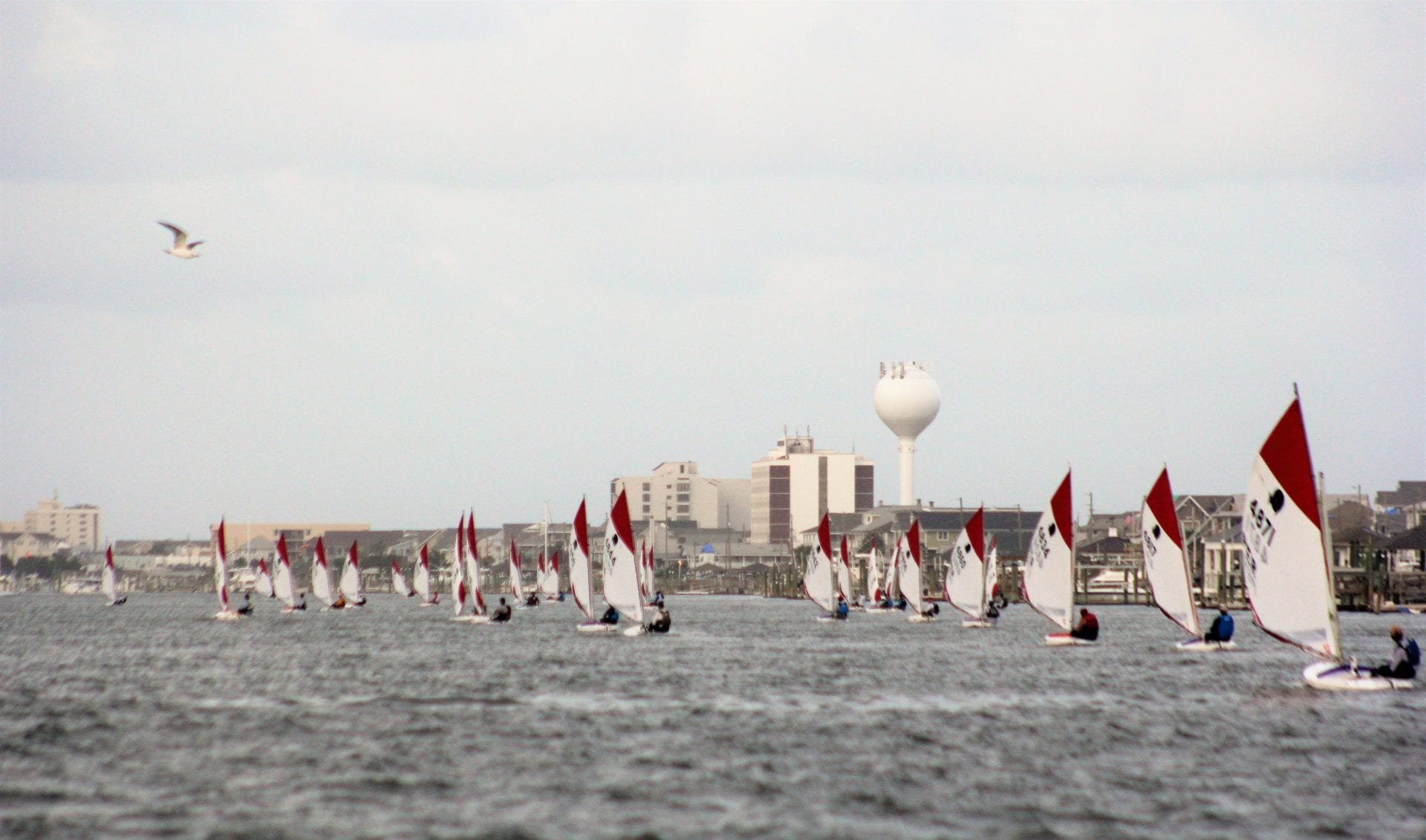 United States Sunfish Class Association - US Sailing